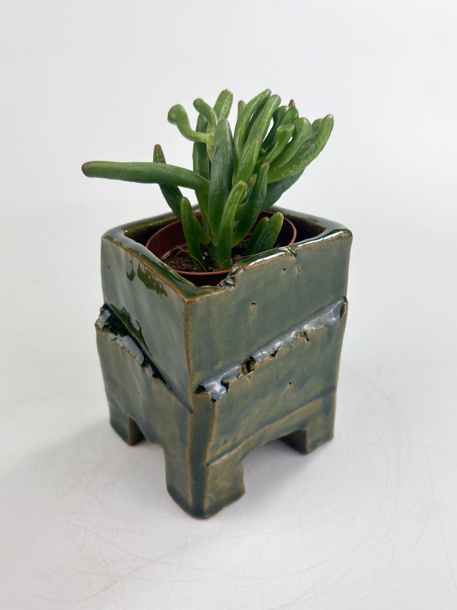 Small Planters – Amy Stringer